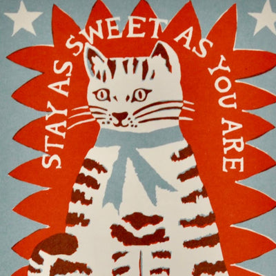 Large Sweet Cat Card by Cambridge Imprint – Collyer's Mansion