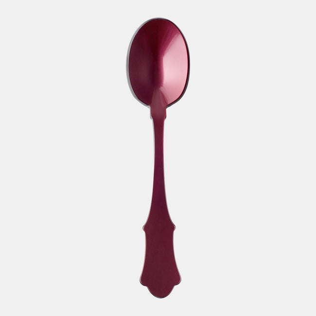 Acrylic Serving Spoon, multiple colors – Collyer's Mansion